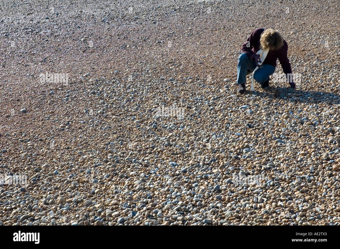 Collecting pebbles beach hi-res stock photography and images - Alamy