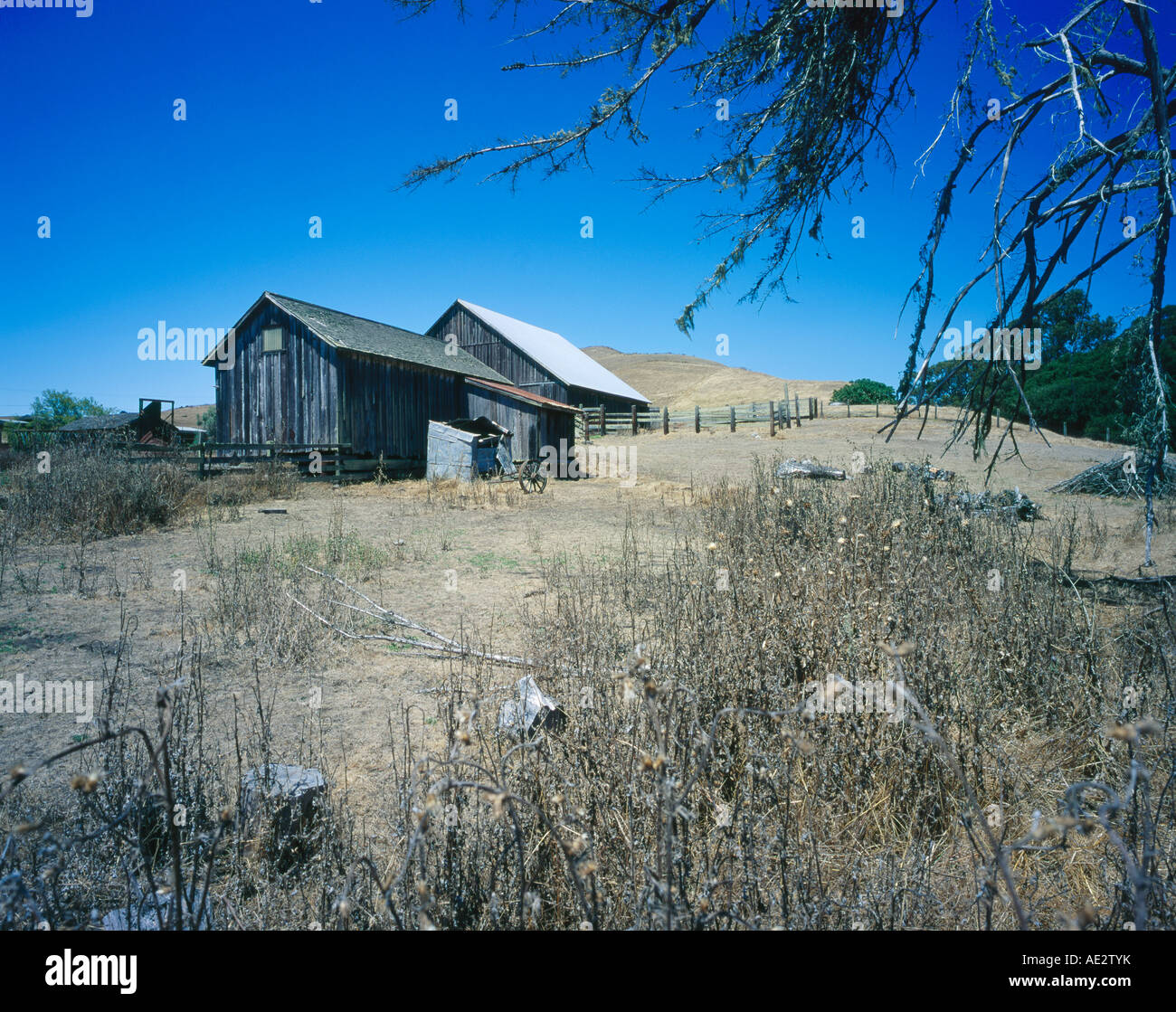 a run down abandoned farm on dry scorched earth in California U S A ...