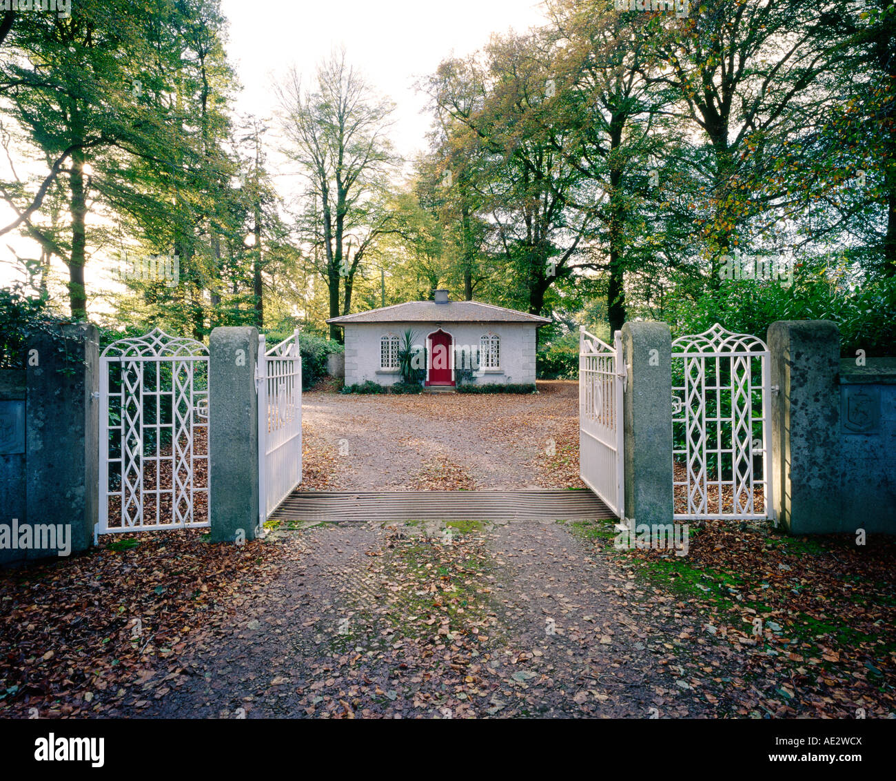 a little cottage with ornate windows surrounded by tall trees Stock ...