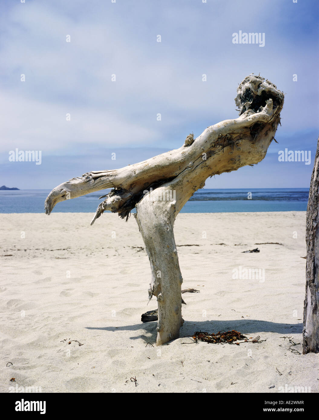 T shaped piece hi-res stock photography and images - Alamy