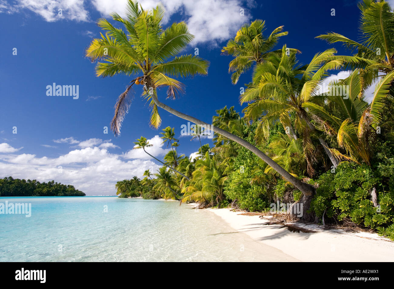 Idyllic tropical beach in Aitutaki in the Cook Islands in the South ...