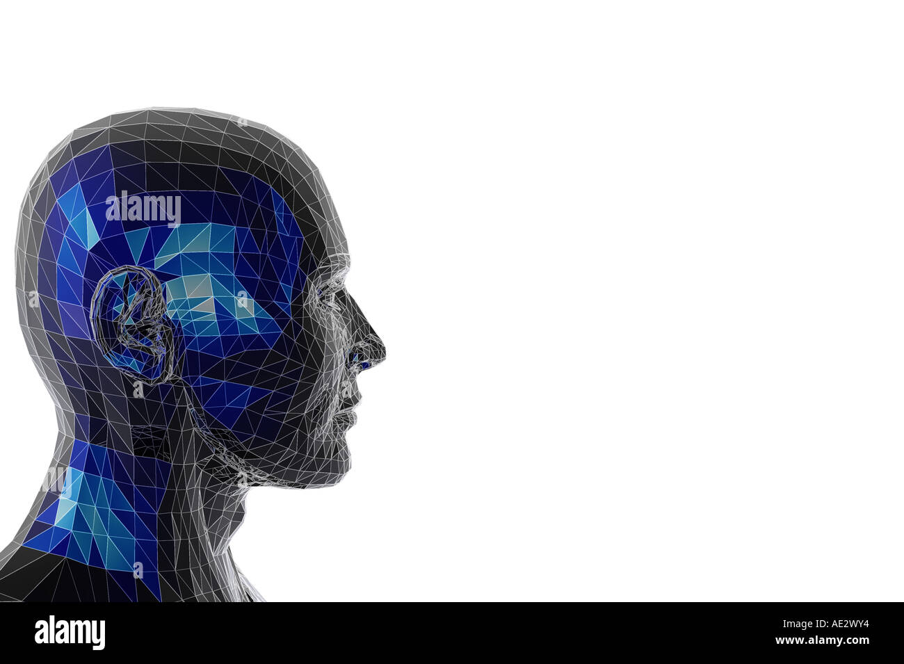 Wireframe head hi-res stock photography and images - Alamy