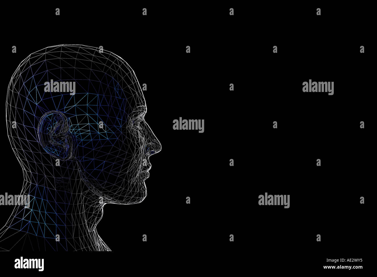 Wireframe male head Stock Photo - Alamy