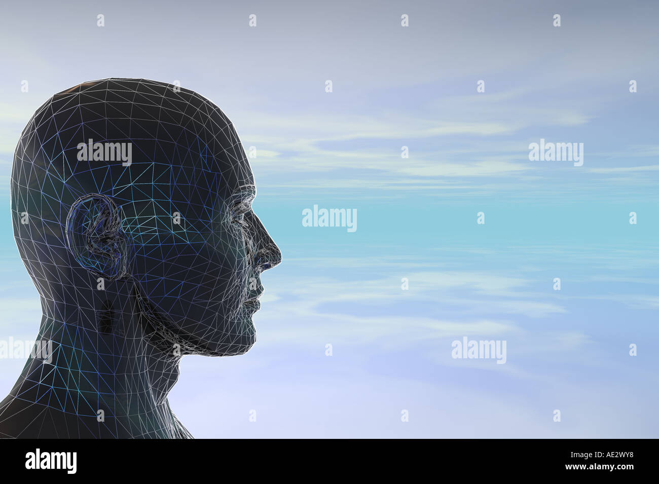 Wireframe male head Stock Photo - Alamy