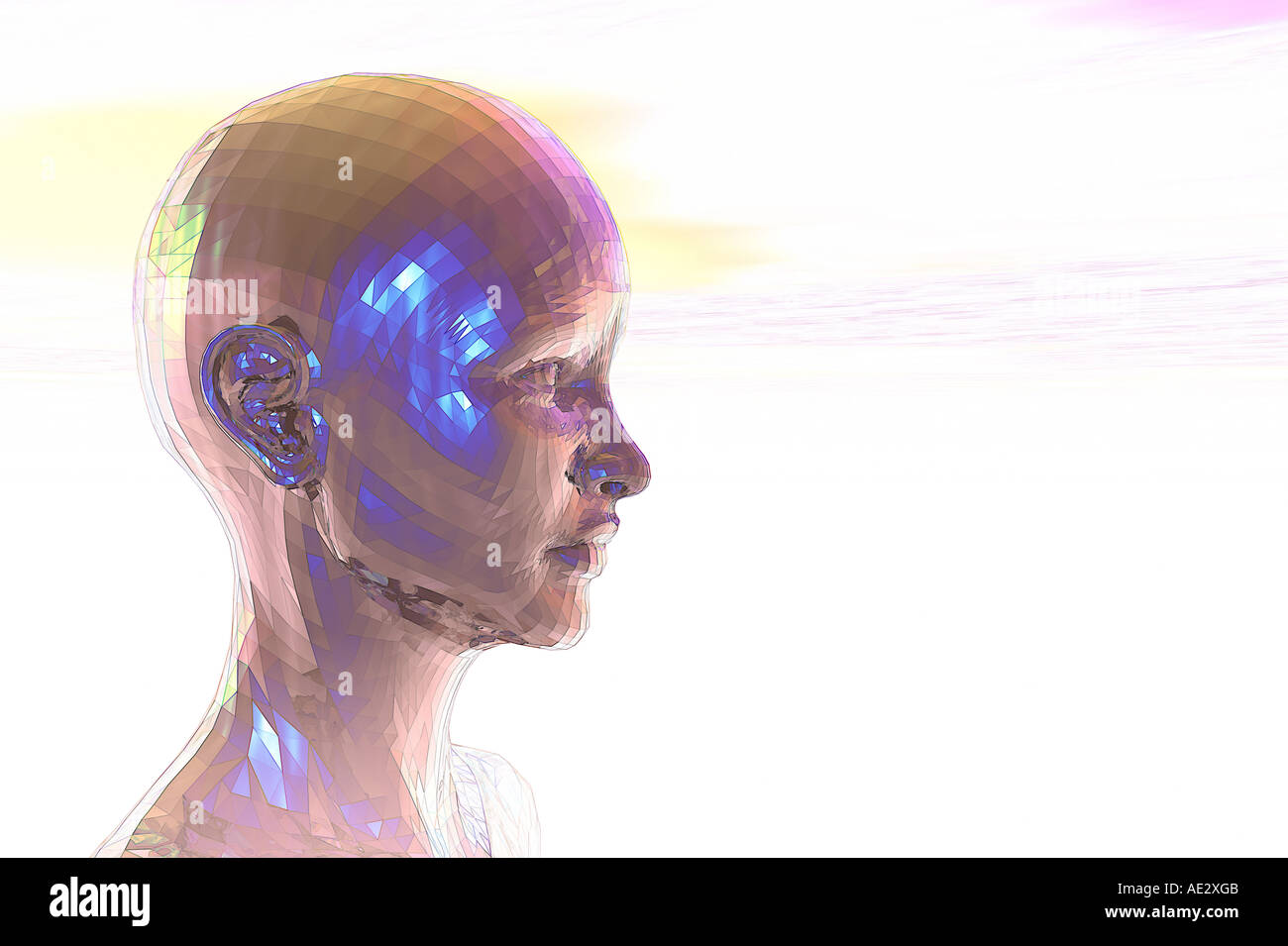 Female wireframe head hi-res stock photography and images - Alamy