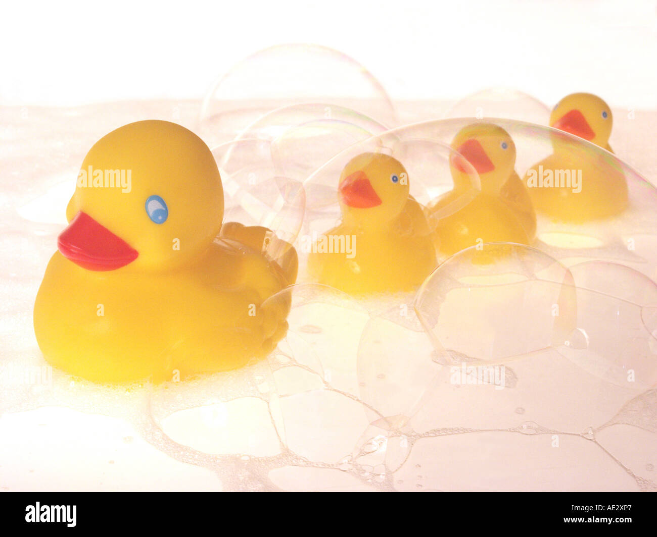 Yellow duckies hi-res stock photography and images - Alamy