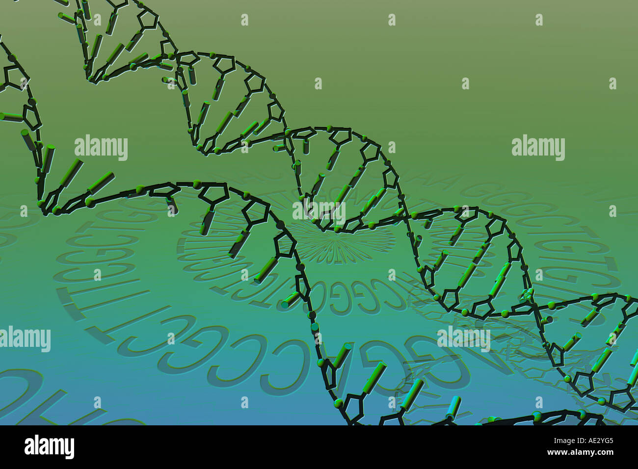 DNA and RNA Stock Photo - Alamy