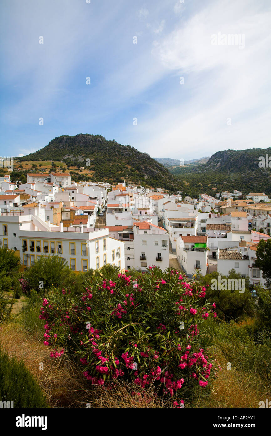 View of Ubrique a White town in Andalucia Spain with a foreground of ...