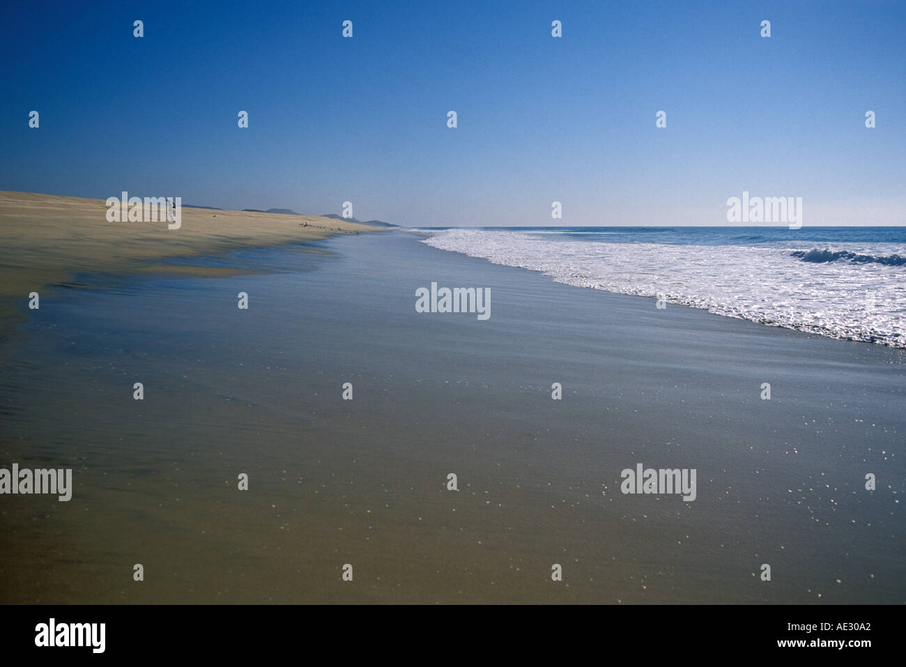 Mexico, Baja California Sur, Beach scene, Playa los Cerritos Stock ...