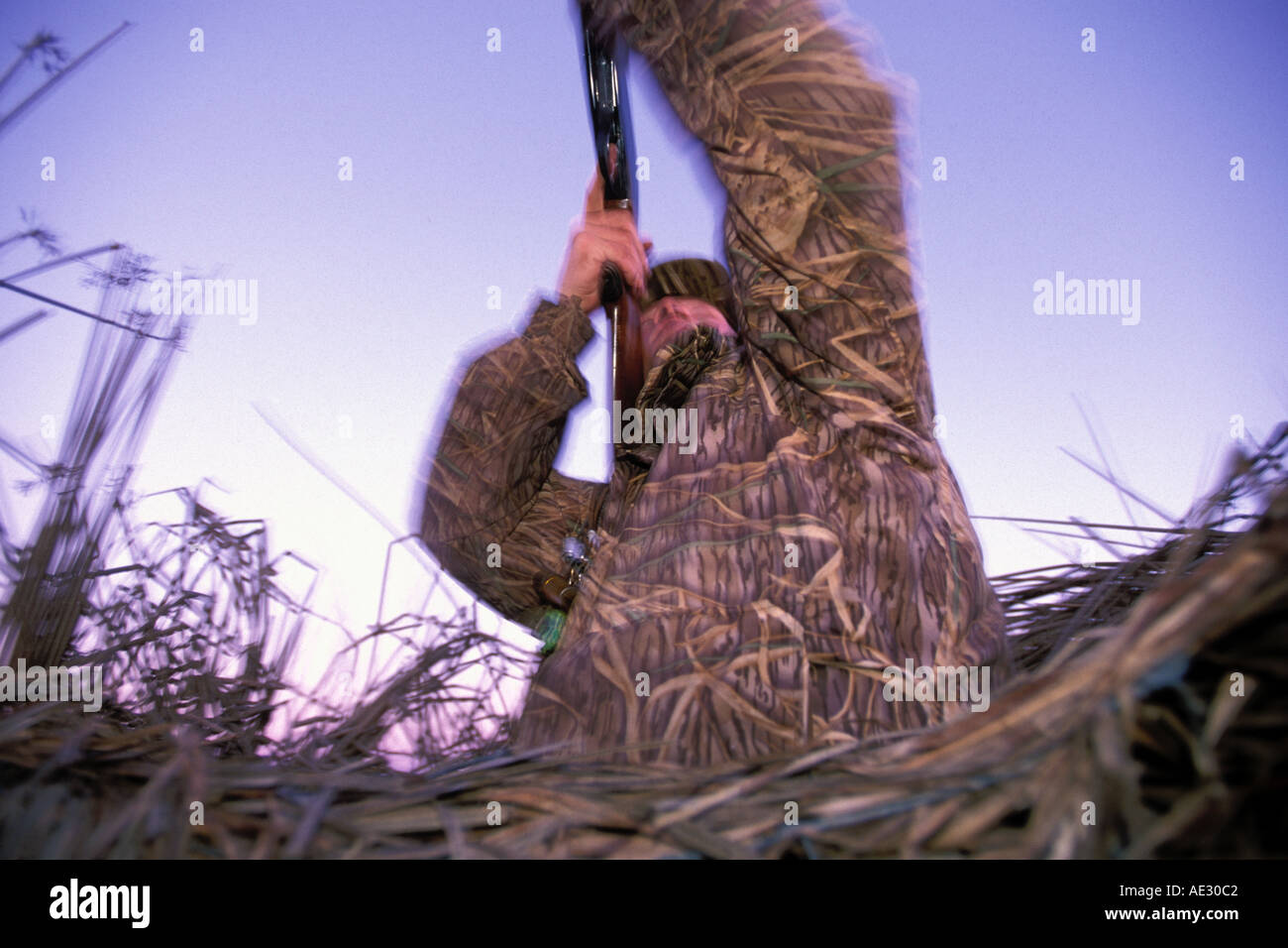 California, Suisin Marsh, Duck Hunting, Can Can Club Stock Photo - Alamy