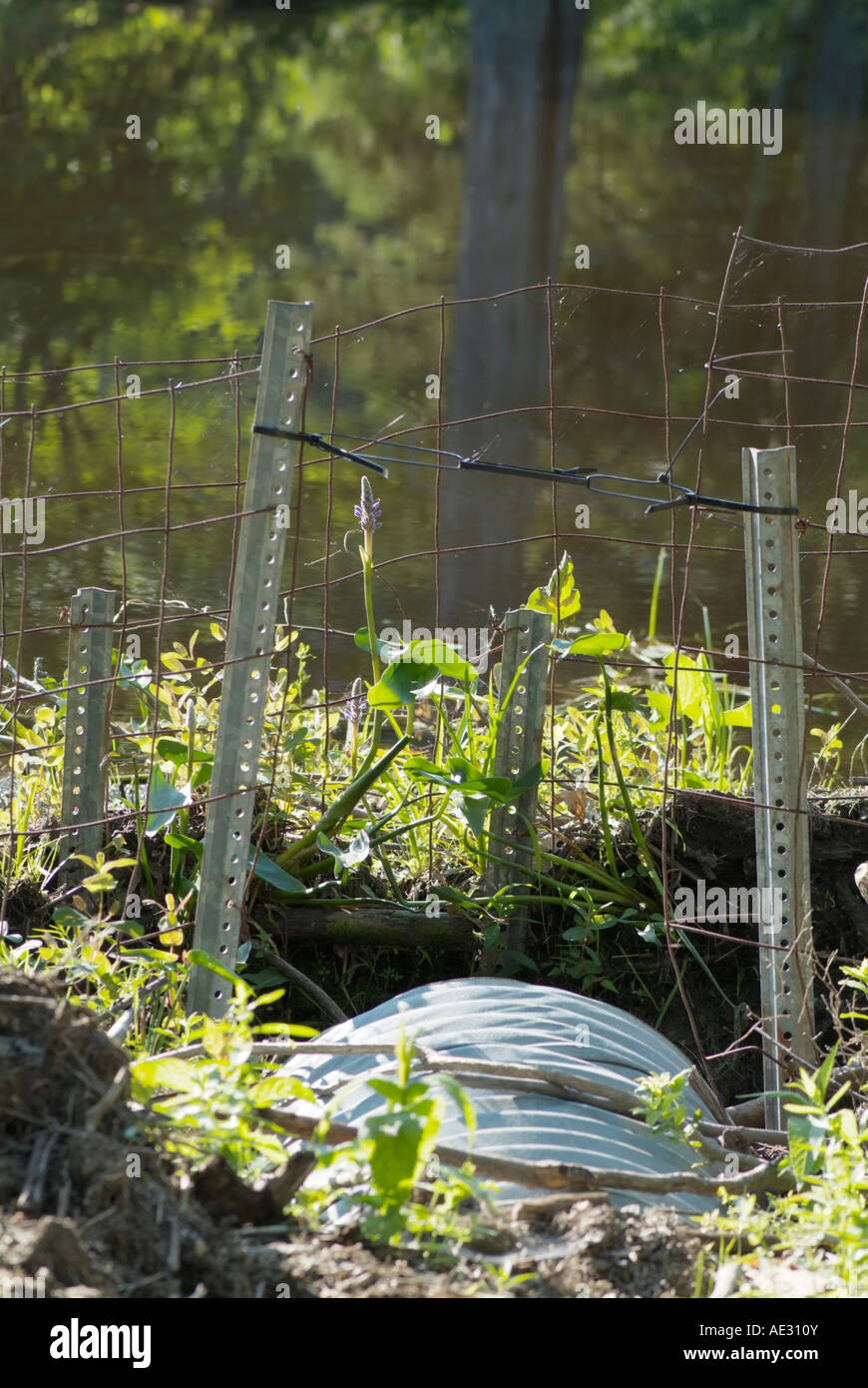 Close up of a Beaver Fence around a culvert on Round Pond Trail in ...