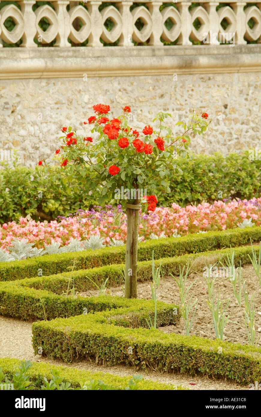 france renaissance chateau and formal gardens villandry Stock Photo - Alamy