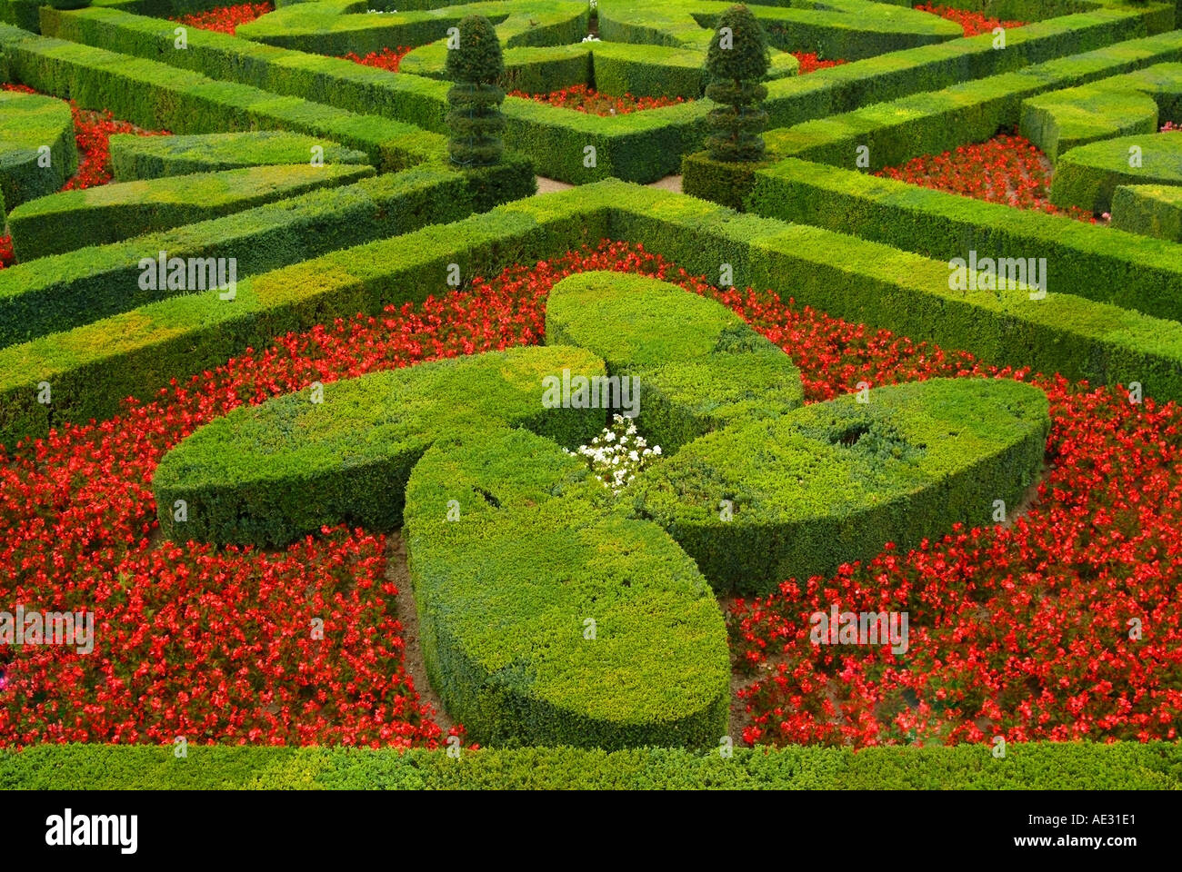 france renaissance chateau and formal gardens villandry Stock Photo - Alamy
