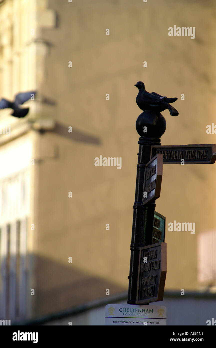 Pigeon statue sitting on sign, live pigeon flying out Stock Photo - Alamy