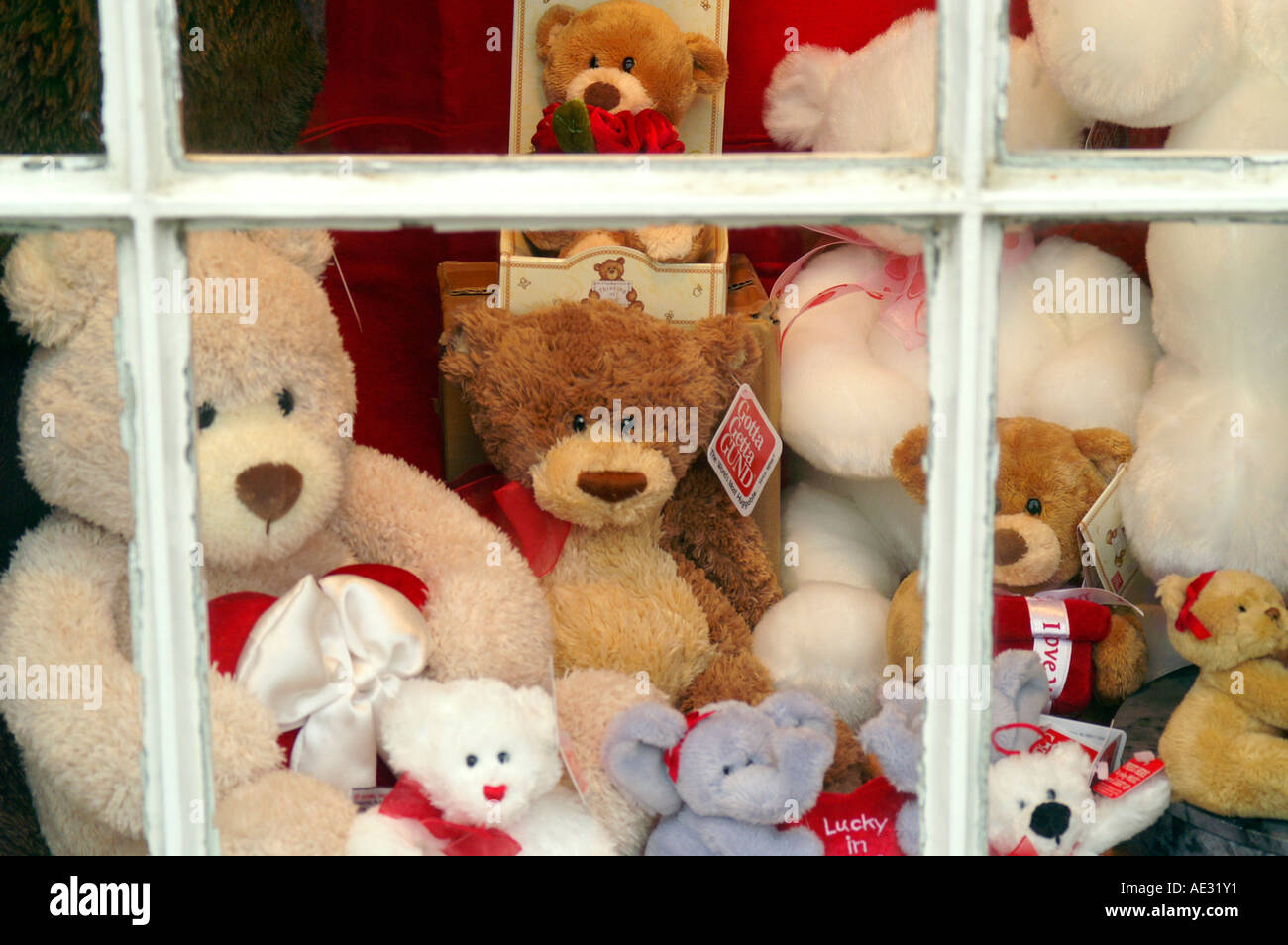 Teddybear shop, english village Broadway, Cotswolds, England Stock ...