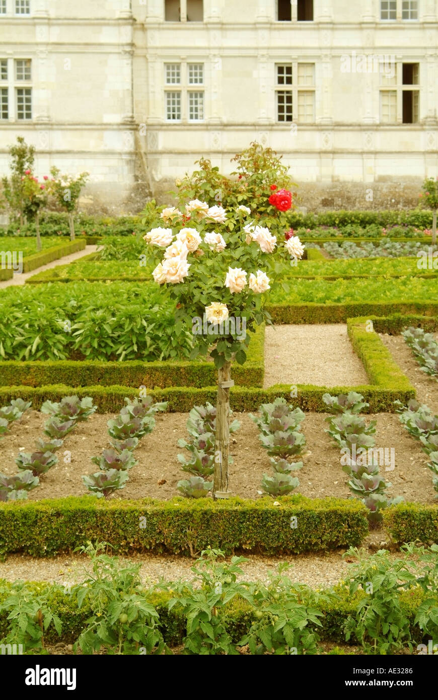 france renaissance chateau and formal gardens villandry Stock Photo - Alamy