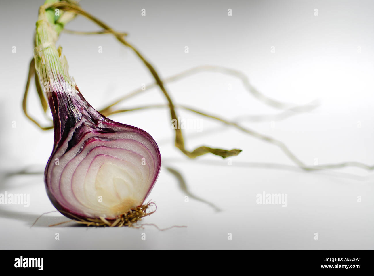 "Red onion" split in half on "neutral background Stock Photo - Alamy