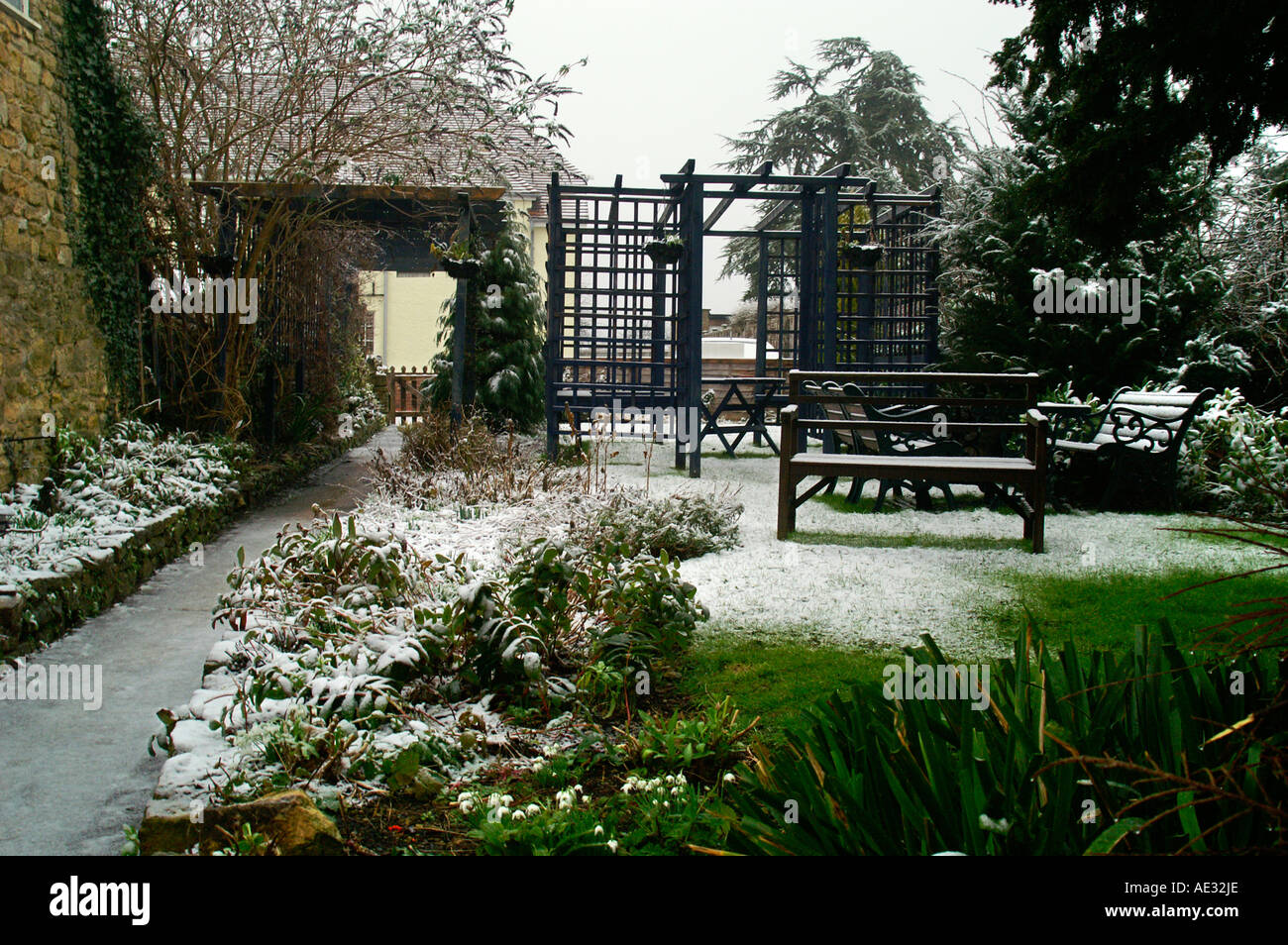 Half inch of snow in english garden Stock Photo - Alamy