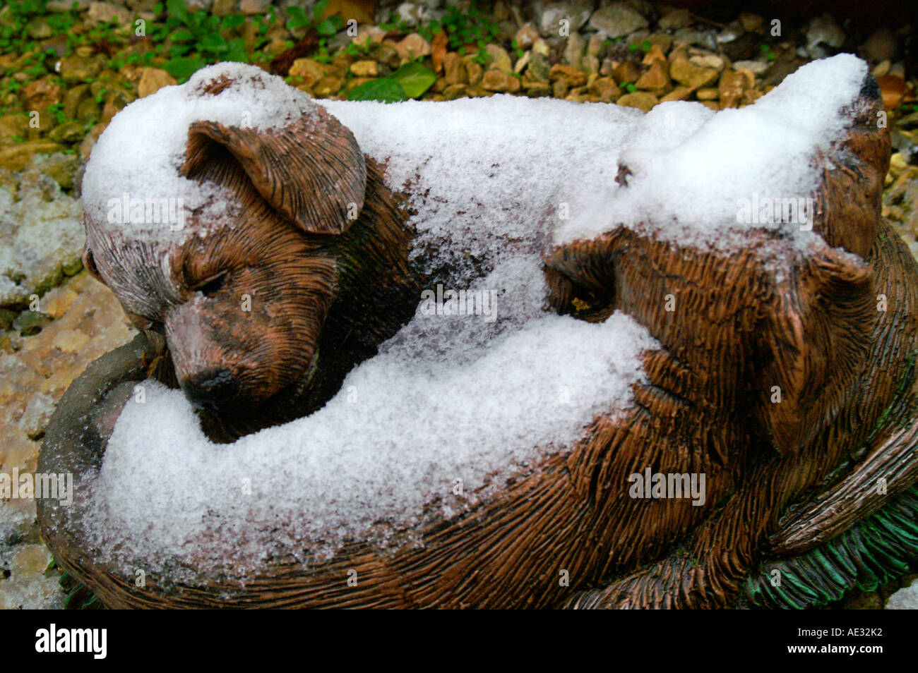 Snow covered sleeping dogs Stock Photo - Alamy