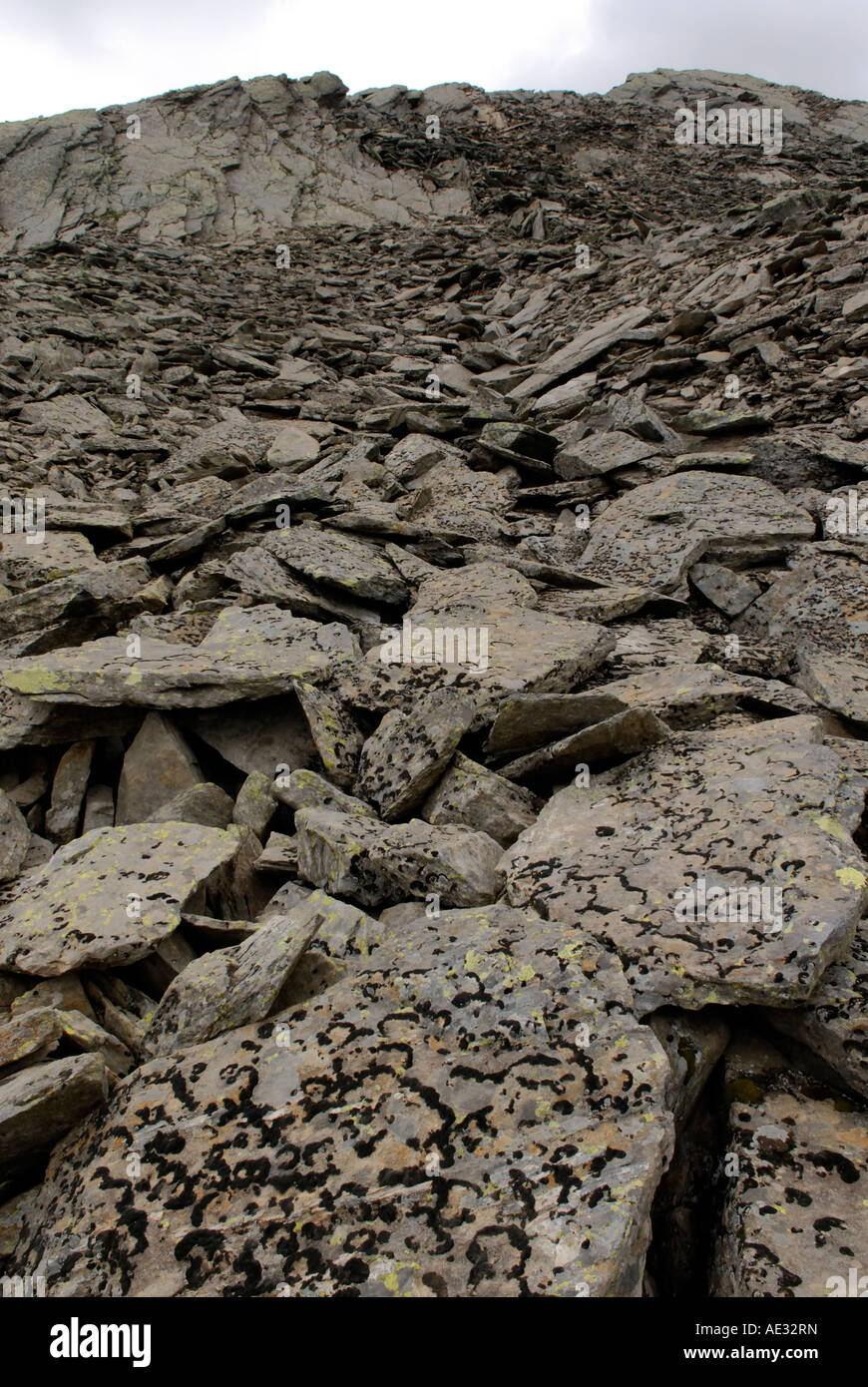 A field of talus or scree on a mountain slope Stock Photo - Alamy