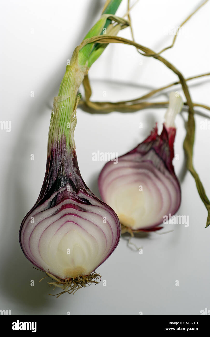 "Red onions" split in half on "neutral background Stock Photo - Alamy