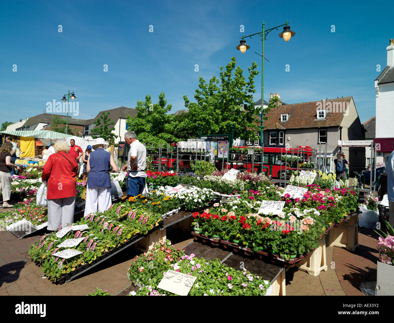 Epsom Surrey England Saturday Market Selling Plants and Flowers Stock ...