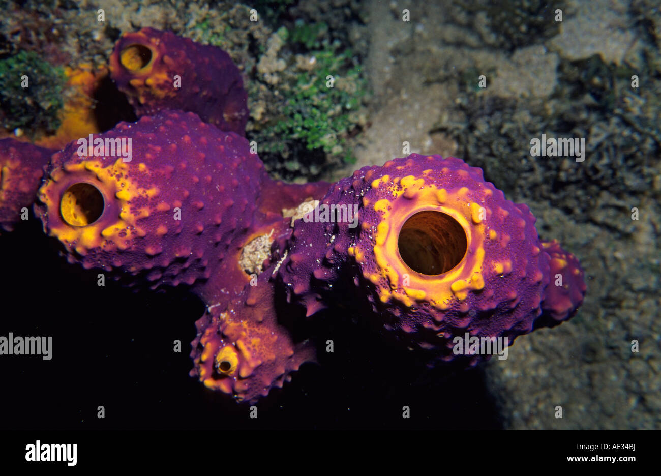 Underwater trench hi-res stock photography and images - Alamy