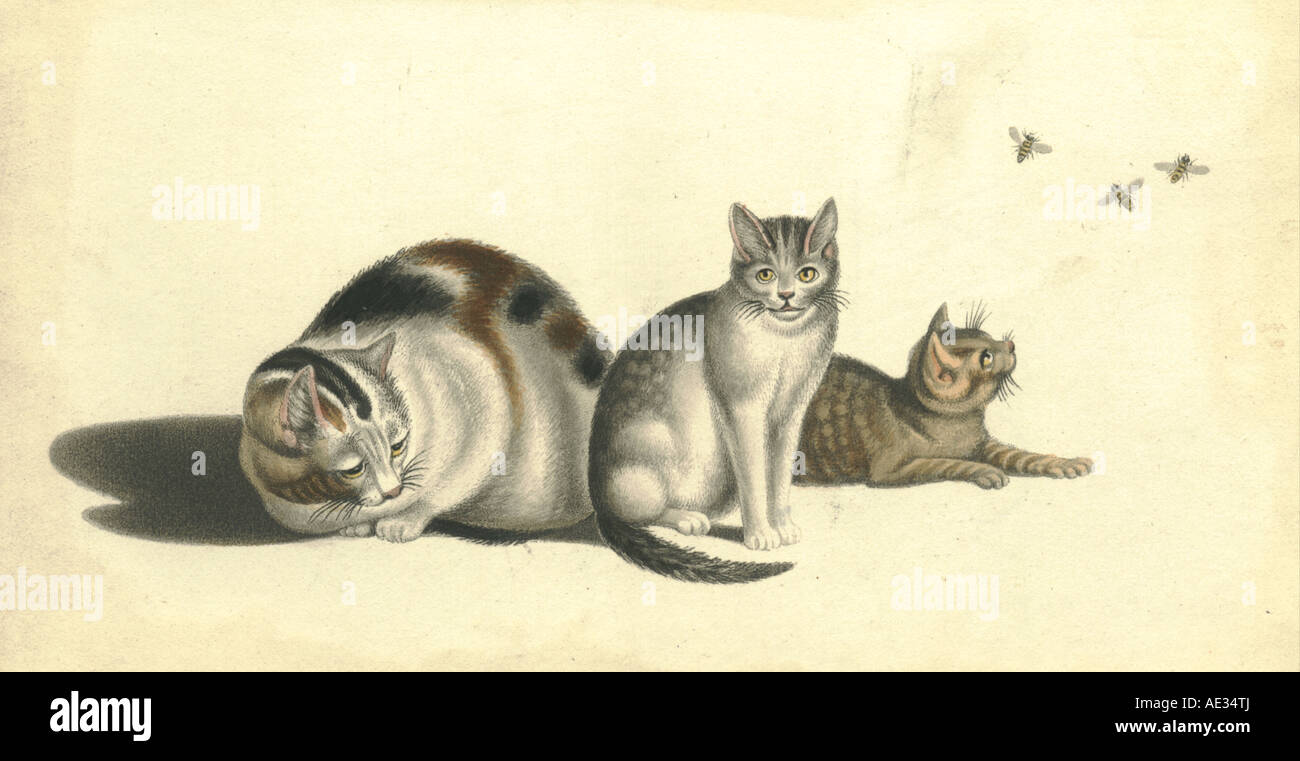 1820 watercolour hi-res stock photography and images - Alamy