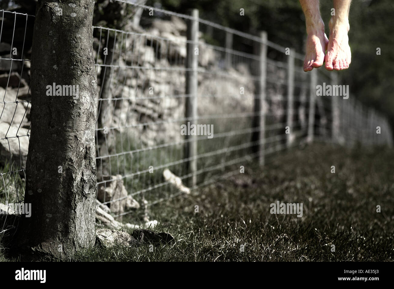 Man Hanged Stock Photos & Man Hanged Stock Images - Alamy
