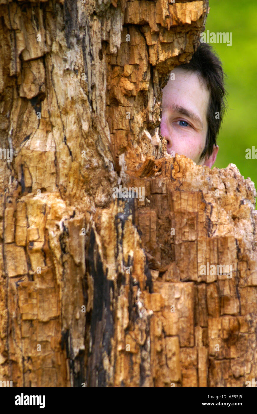 Man peeking from behind tree trunk Stock Photo - Alamy