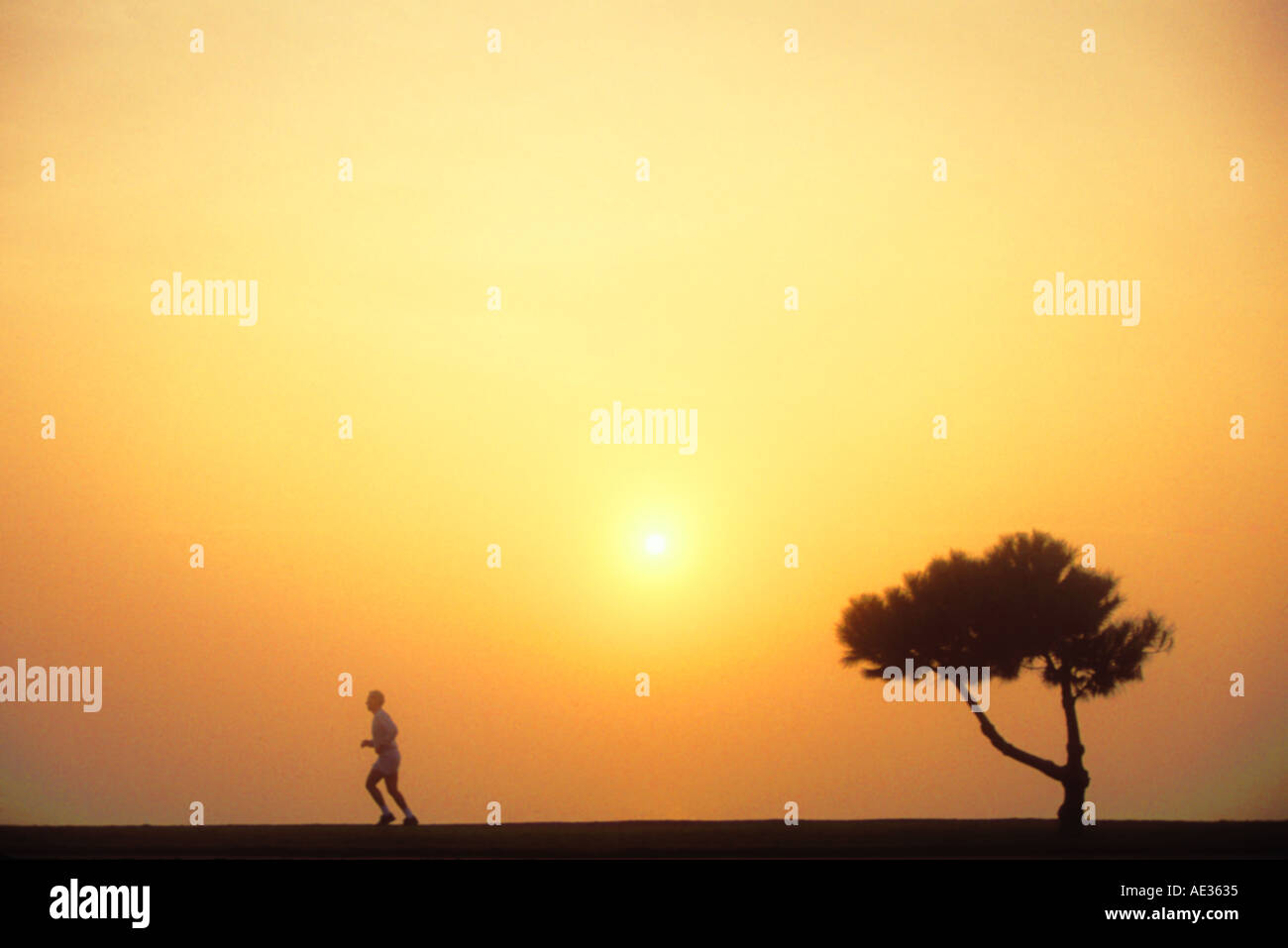 Sports, Runner in mist Stock Photo - Alamy