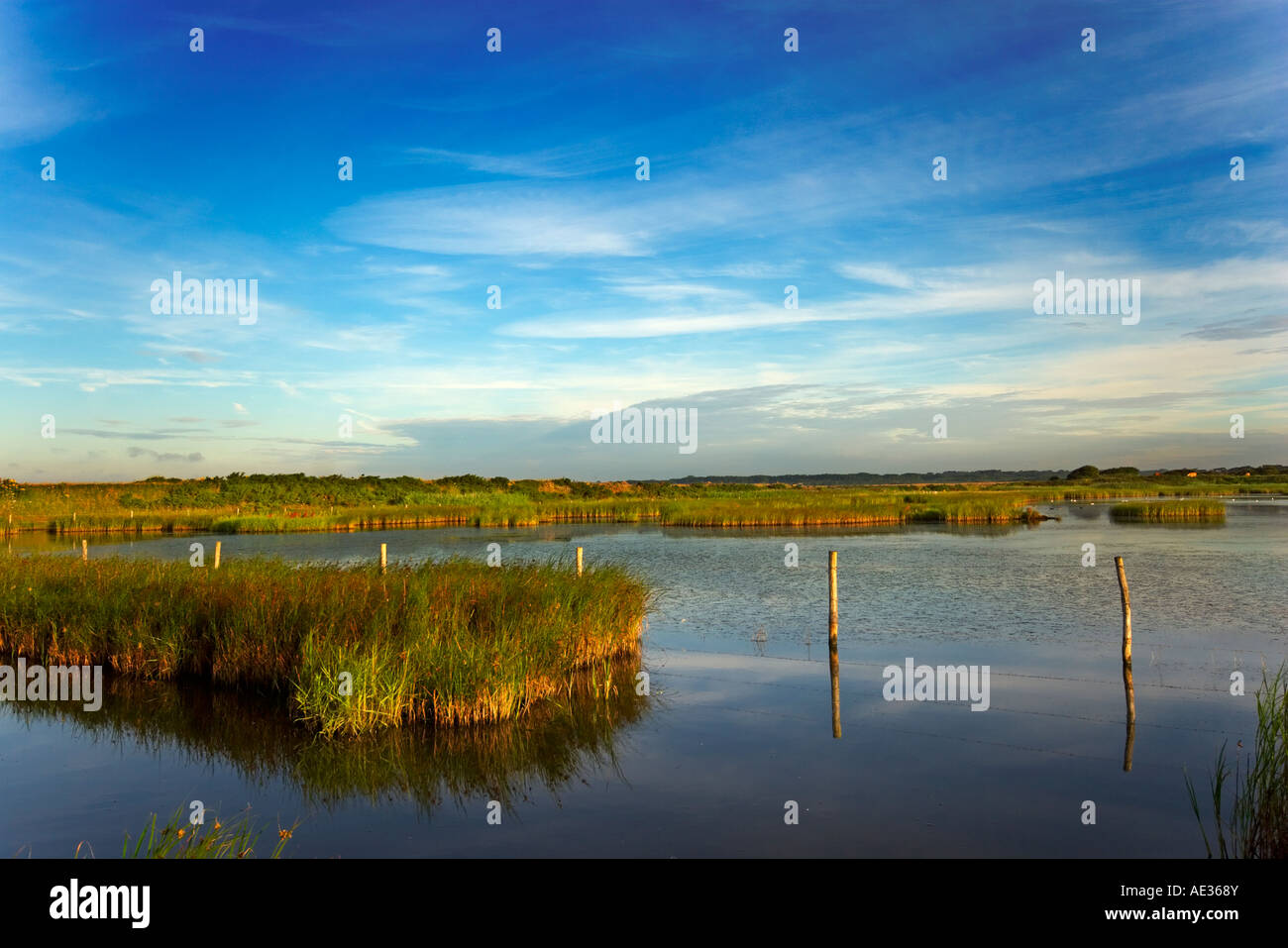 Lymington salt marshes hi-res stock photography and images - Alamy