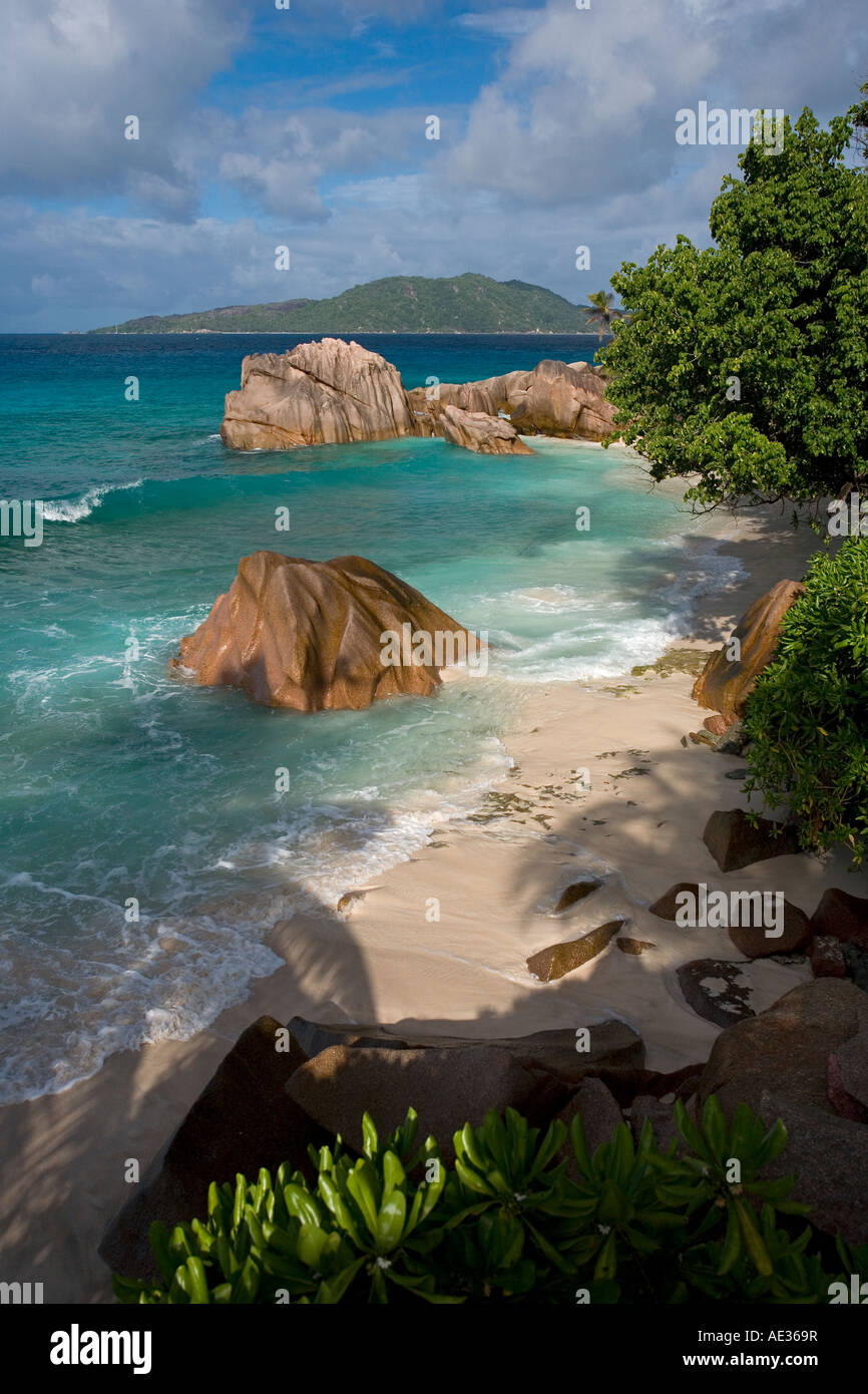 Takamaka tree la digue island hi-res stock photography and images - Alamy