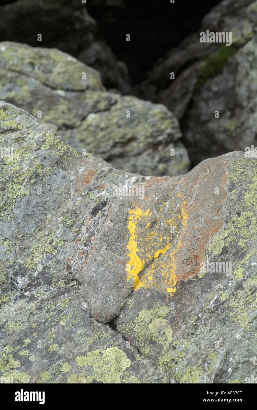 Caps Ridge Trail during the summer months in the scenic landscape of ...