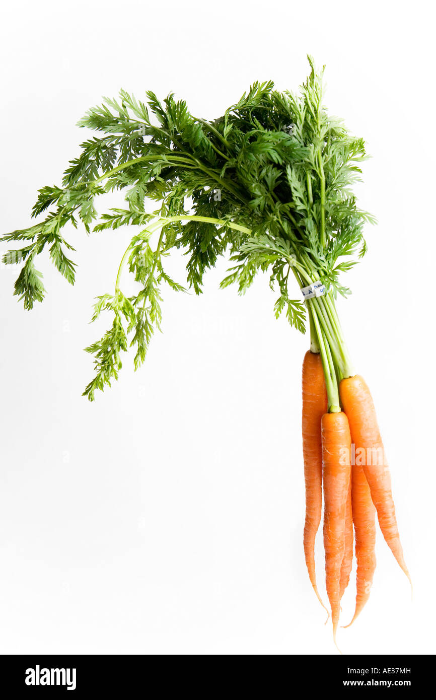 Bundle of carrots Stock Photo - Alamy