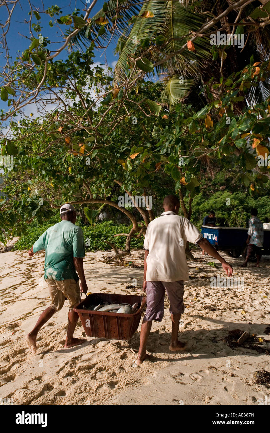 Fishermen bringing the catch on Anse Royale Mahe Island Seychelles ...