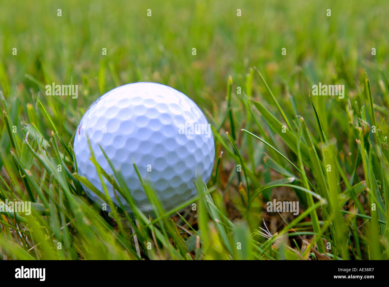 Lost golf ball hi-res stock photography and images - Alamy