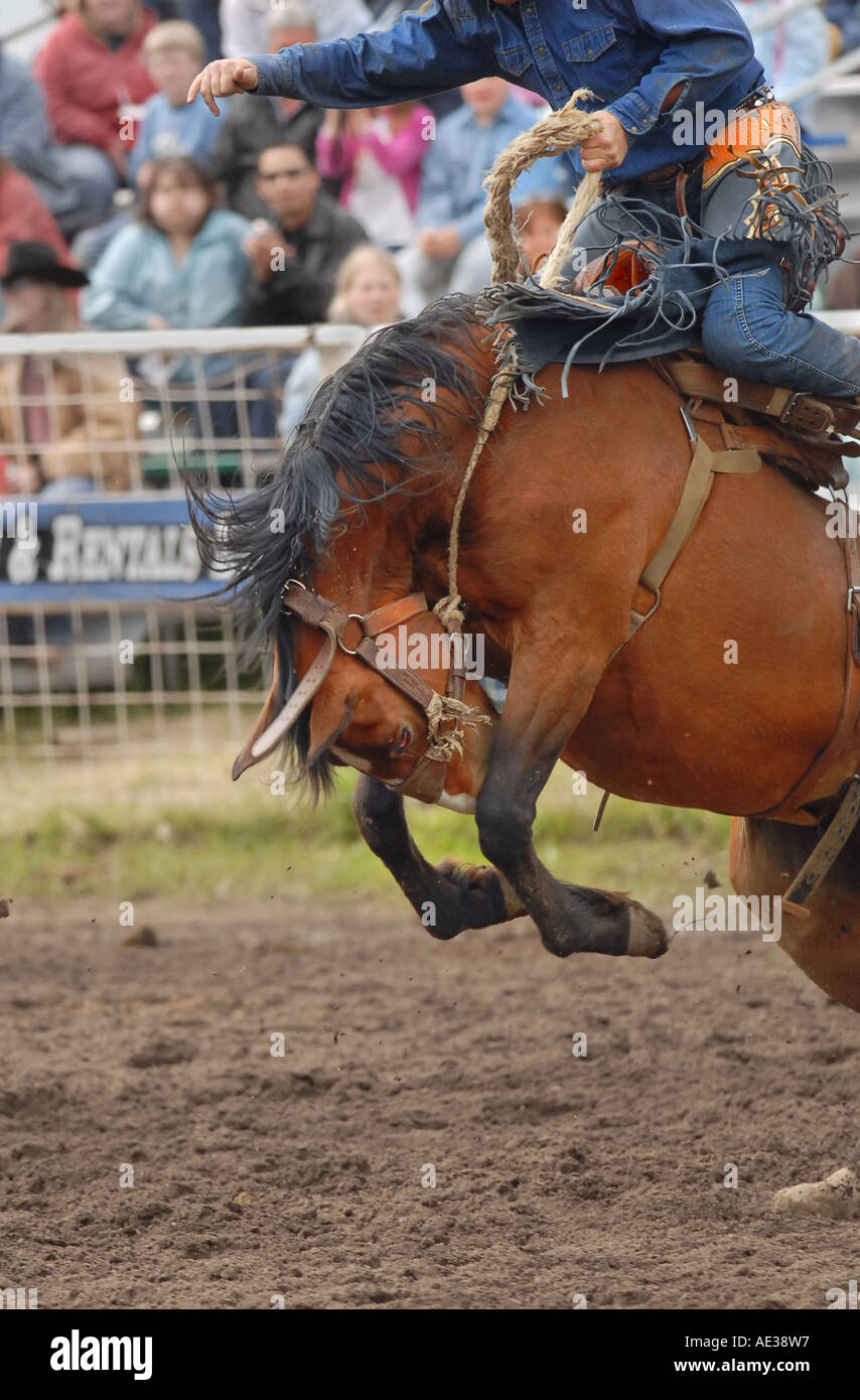 Rodeo contestant hi-res stock photography and images - Alamy