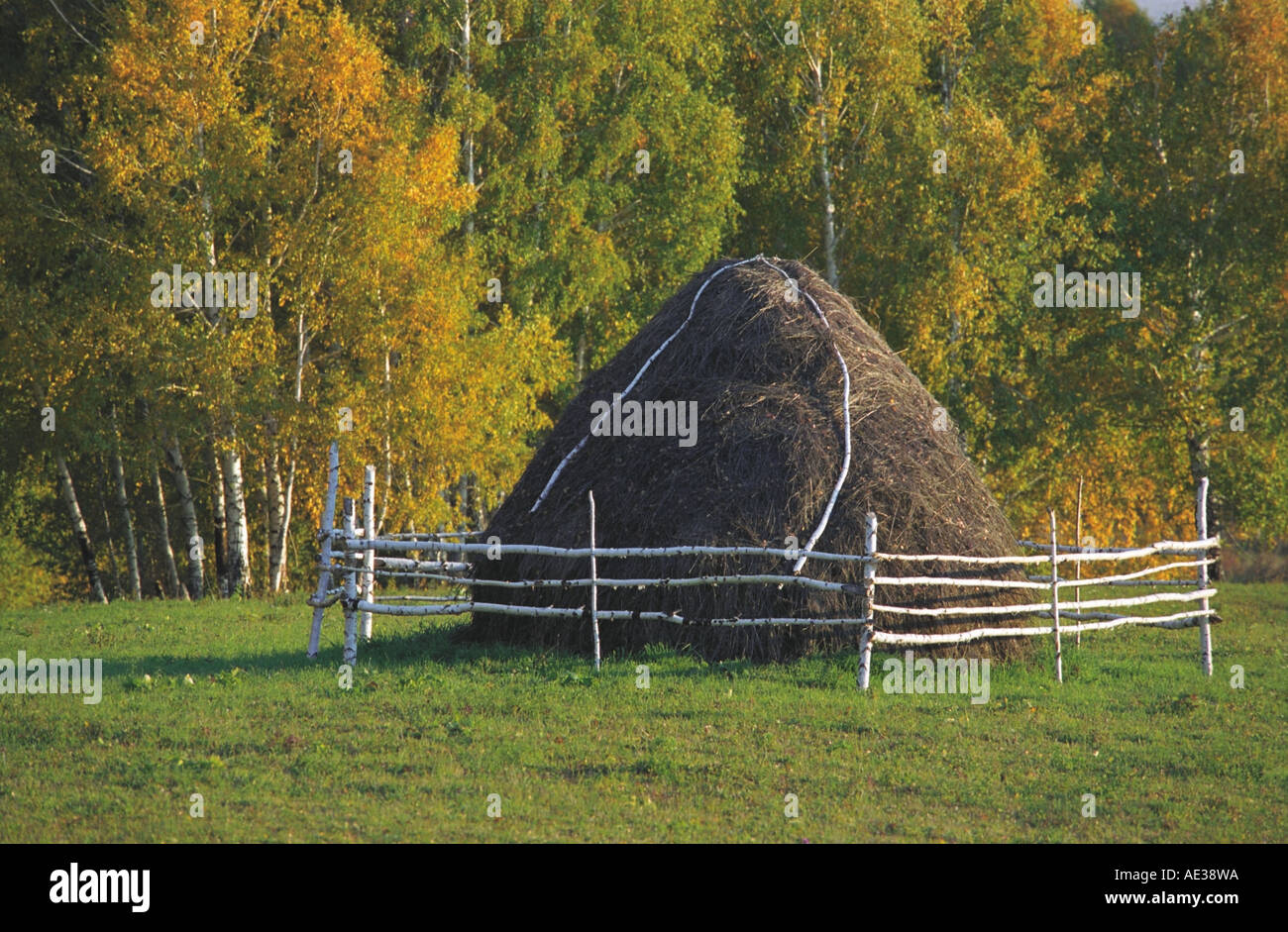 Russian haystack hi-res stock photography and images - Alamy