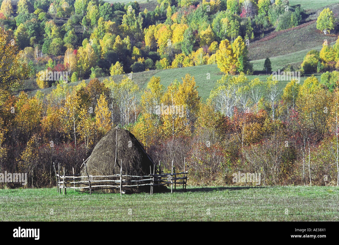 Russian haystack hi-res stock photography and images - Alamy