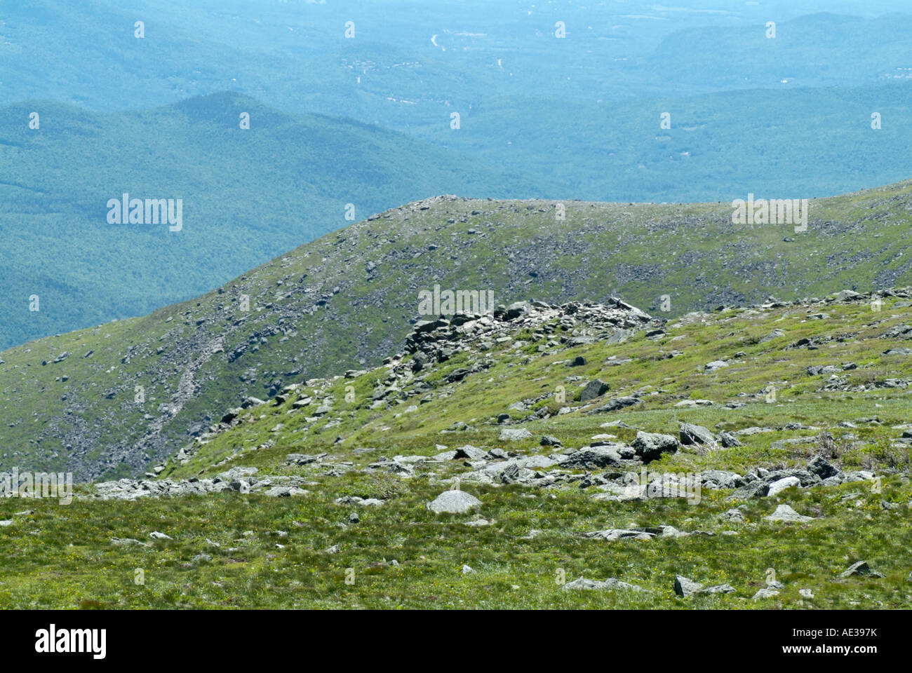 Mount Washington Alpine Garden Trail in the White Mountains, New ...