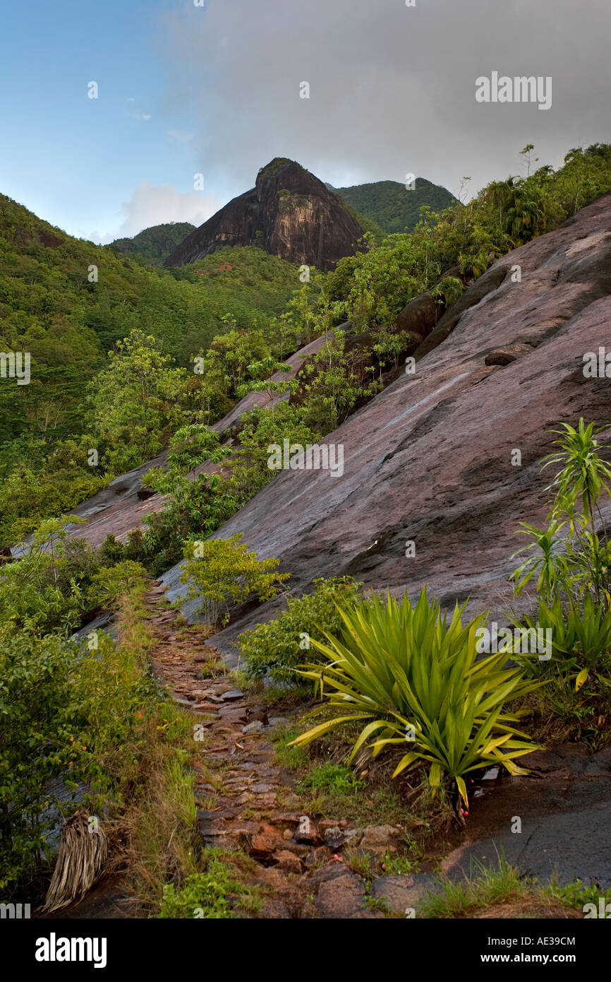 Morne seychelles national park hi-res stock photography and images - Alamy