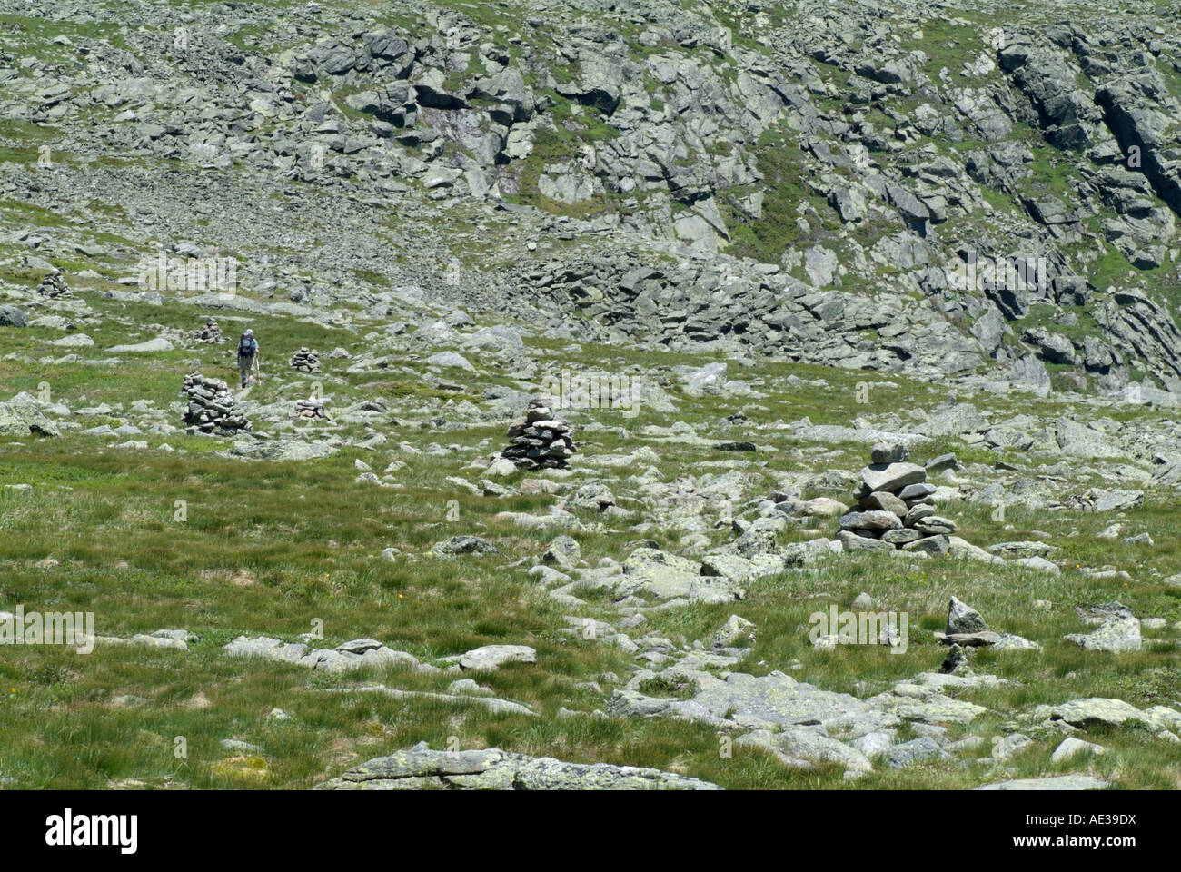 Mount Washington Alpine Garden Trail in the White Mountains, New ...