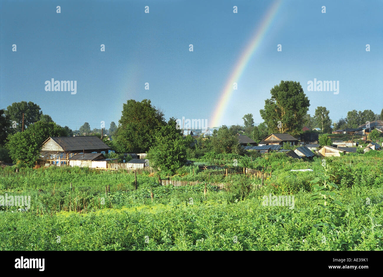 Rainbow over vegetable garden. Altai. Siberia. Russia Stock Photo - Alamy