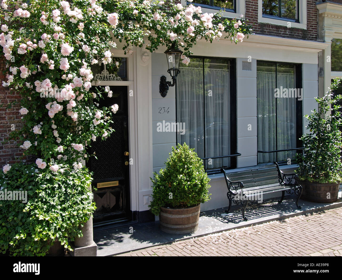 Facade of typical stately Delft home along canal with white pink roses ...