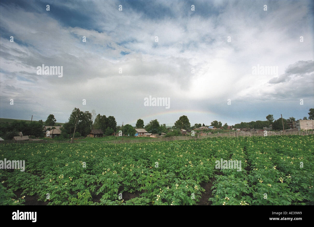 Rainbow above vegetable garden. Altai. Siberia. Russia Stock Photo - Alamy
