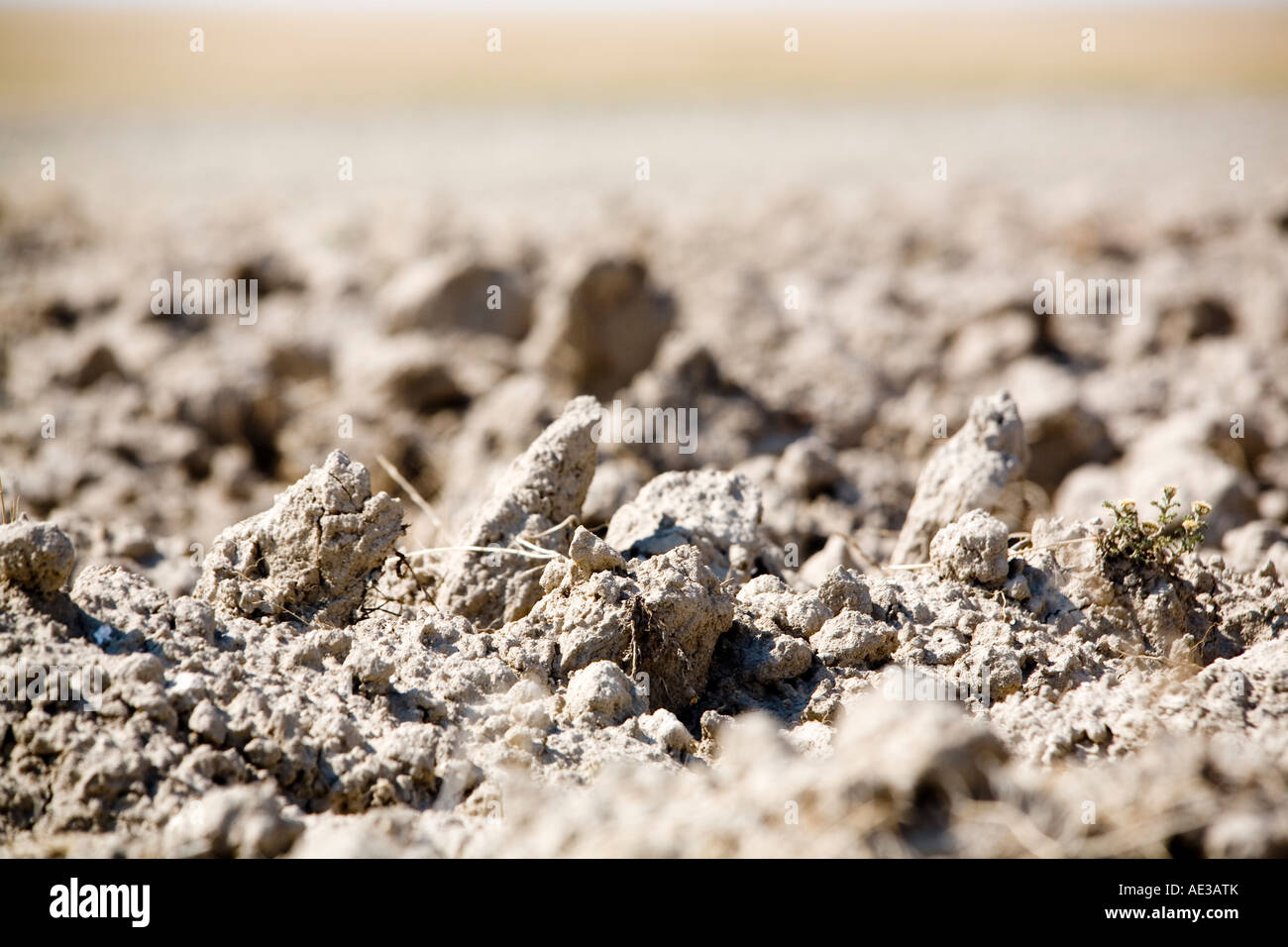farming soil close up Stock Photo - Alamy