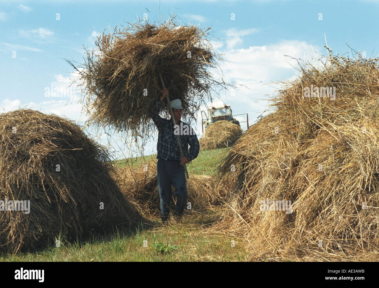 Hay making sweep hi-res stock photography and images - Alamy