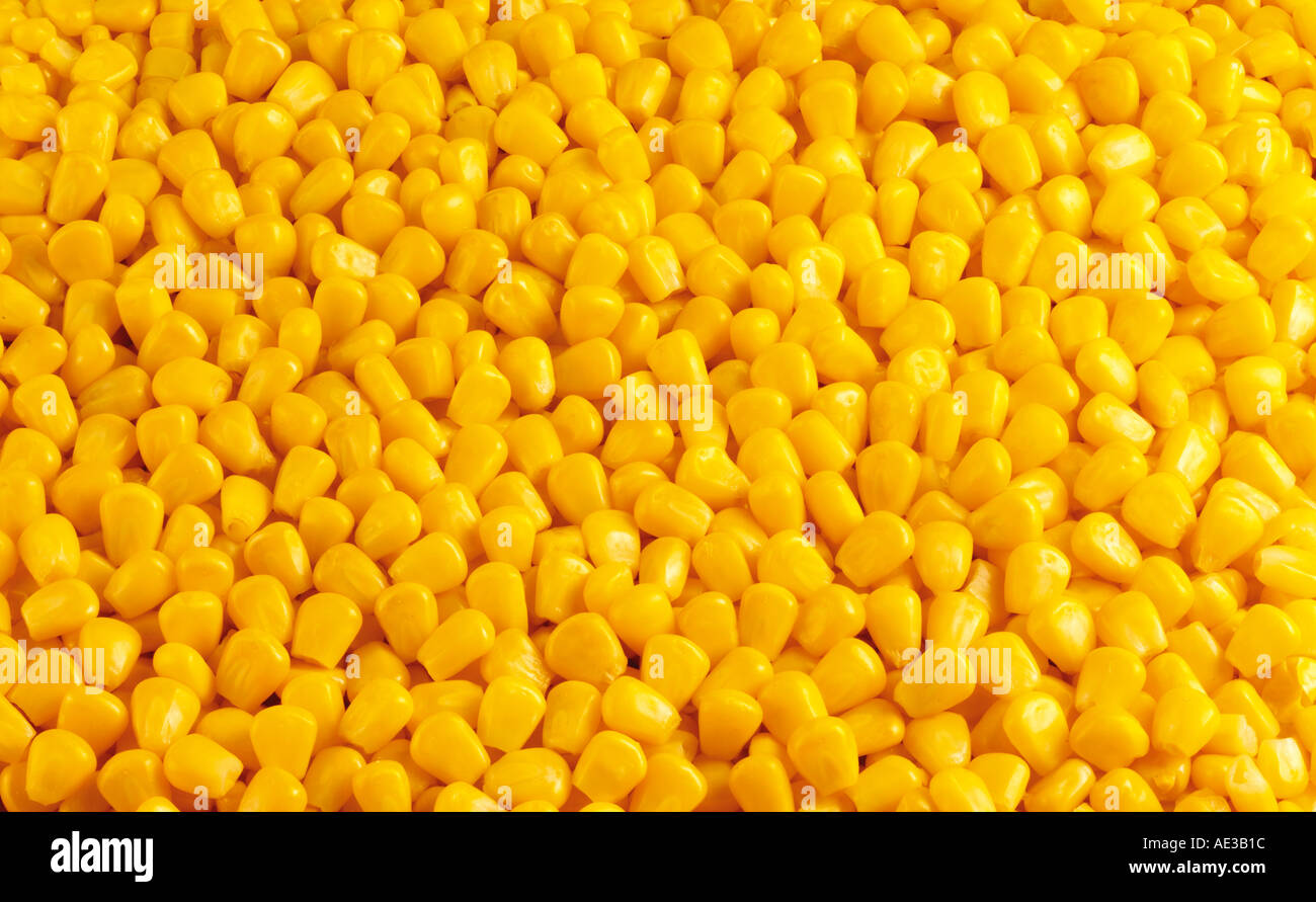SWEET CORN KERNELS Stock Photo - Alamy