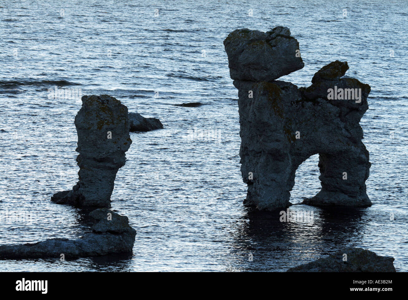 Natural seastacks in Fårö, Gotland called Rauks. This rauk is one of ...